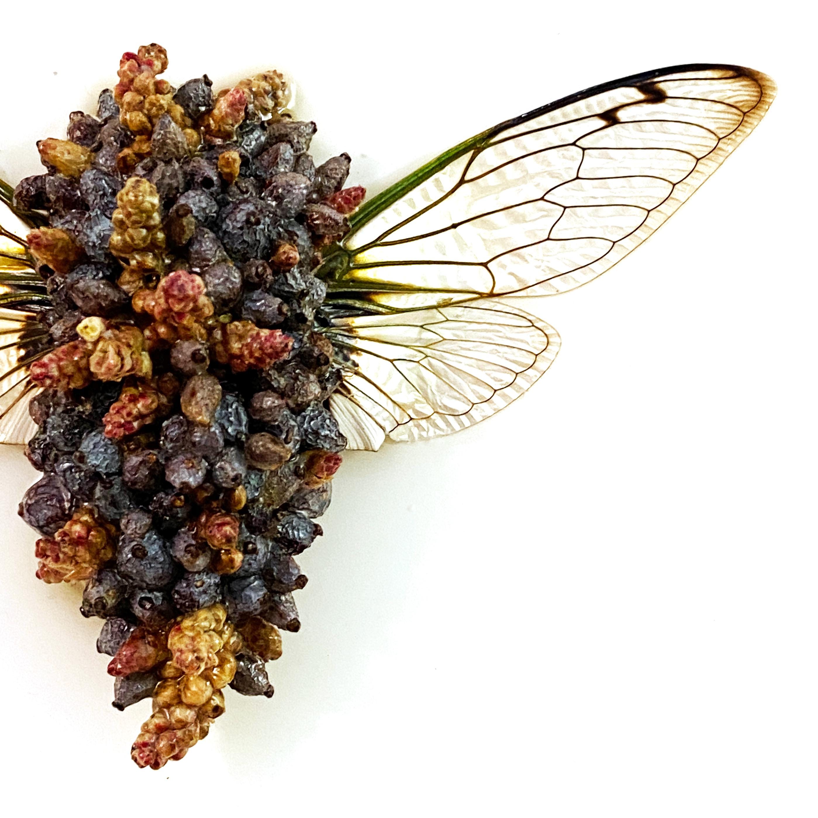 REAL ART - Original Artwork by Adrienne Deloe - Insect Art - Berries ...