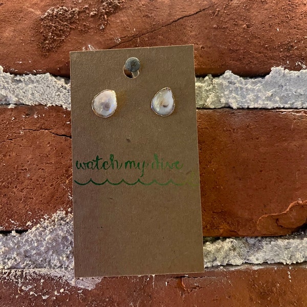 Shell Earrings - Etsy