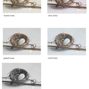 Personalized Baby Gift Custom Nursery Art Baby Nest Name - Etsy