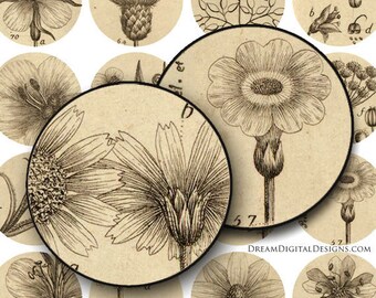 Botanical Drawings 2.5 inch Squares Digital Collage Sheet | Etsy
