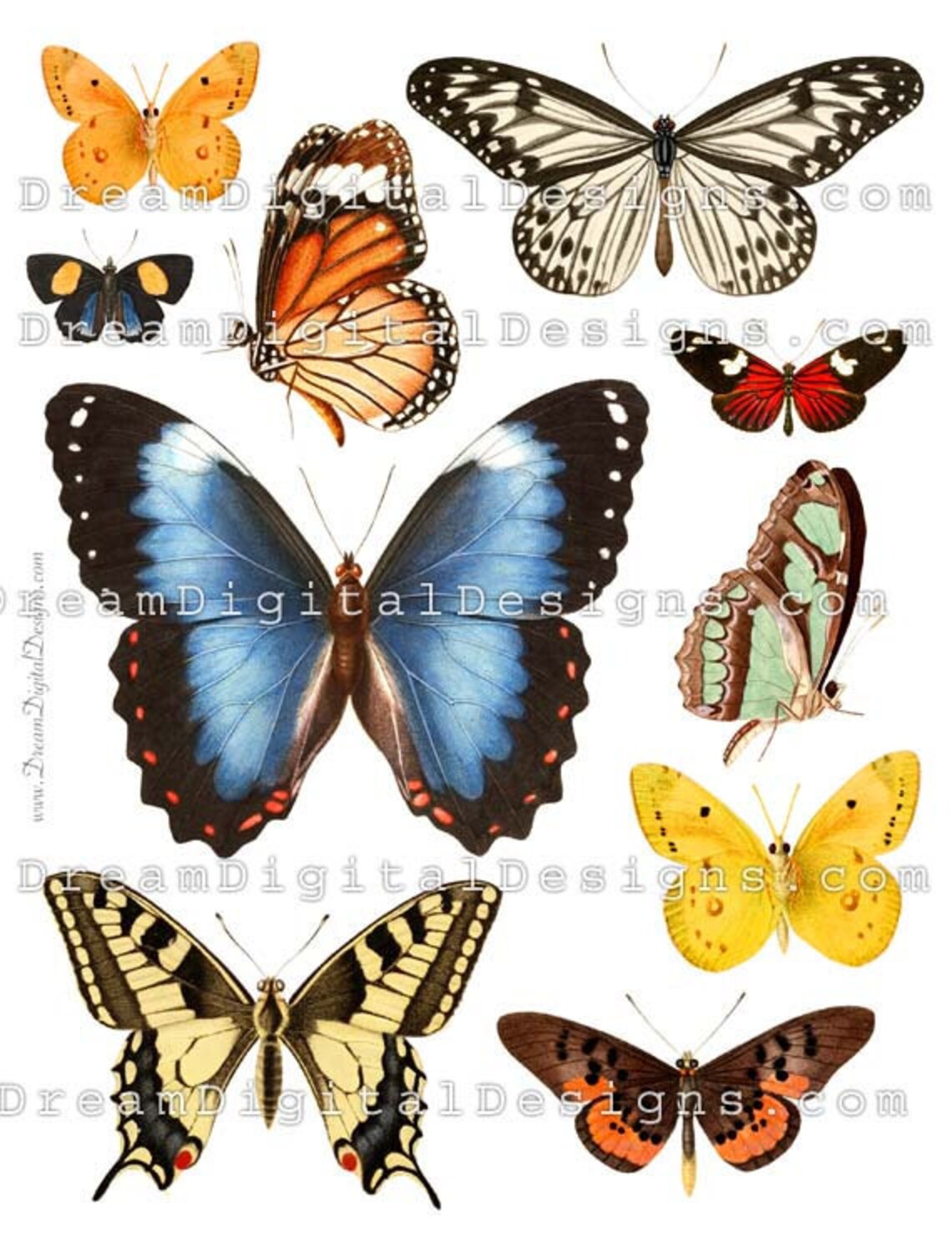 Butterflies Digital Collage Sheet, Butterfly, Vintage Illustrations ...