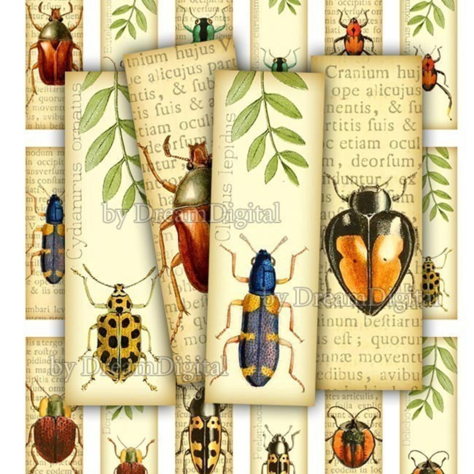 Insect Digital Collage Sheet, 1 X 3 Inch, Bugs, Digital Download ...