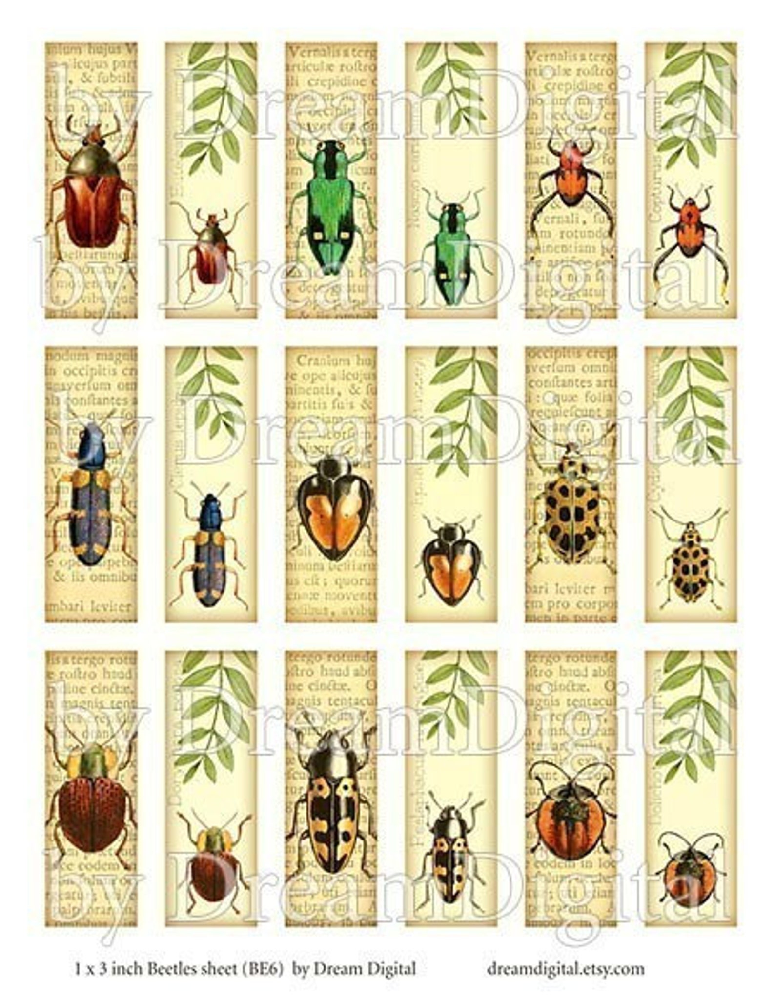 Insect Digital Collage Sheet, 1 X 3 Inch, Bugs, Digital Download ...