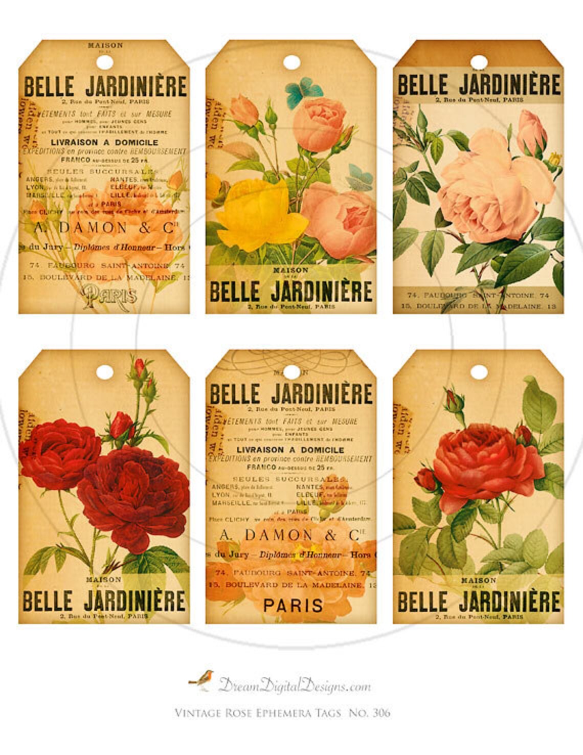 Botanical Gift Tags, Rose Collage Sheet, Printable Tags, Aged Paper and ...