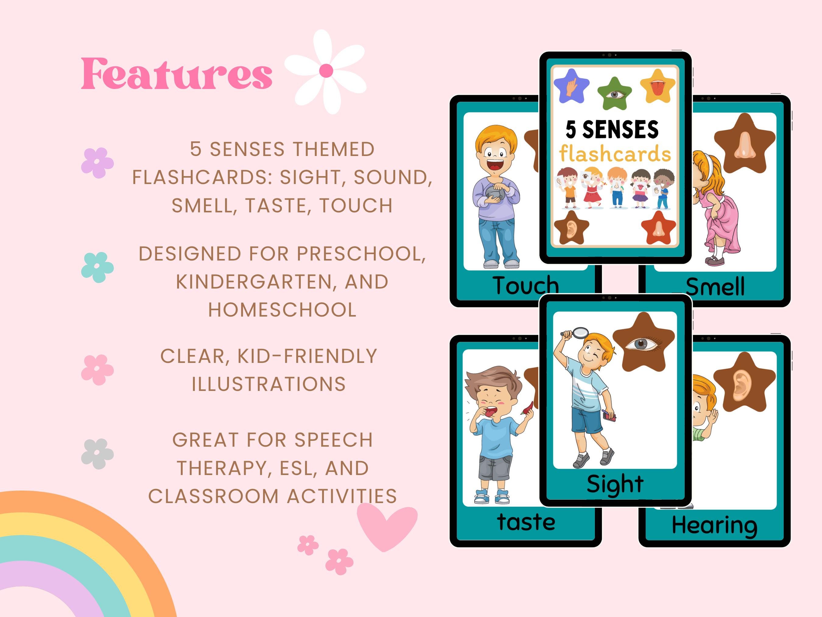 Printable 5 Senses Flashcards for Kids – Touch, Taste, Smell, Sight and ...