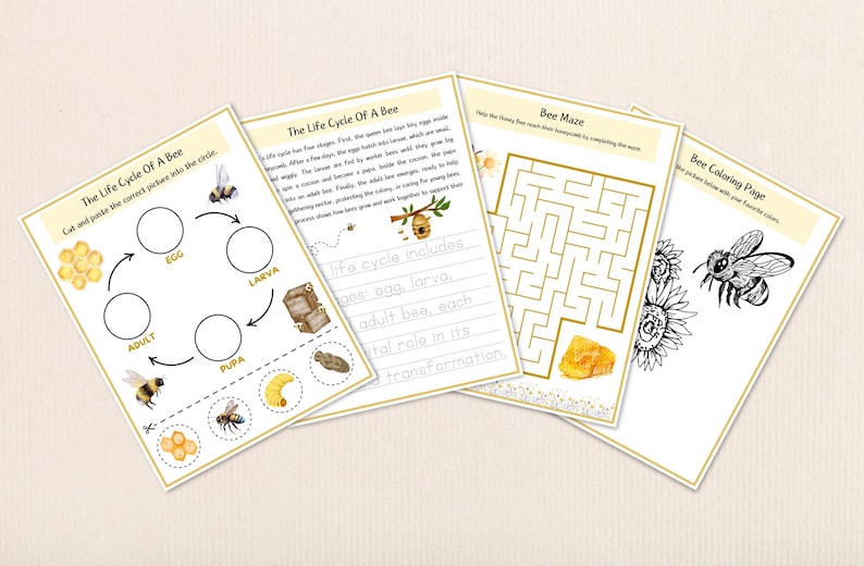 Bee Life Cycle Worksheet: Montessori Cut & Paste Activity (printable ...