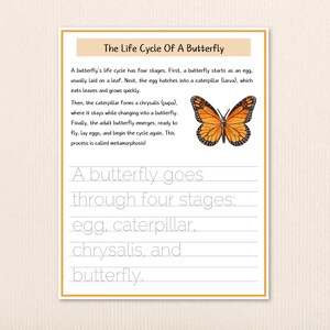 Butterfly Life Cycle Worksheets – Caterpillar Cut and Paste Science ...
