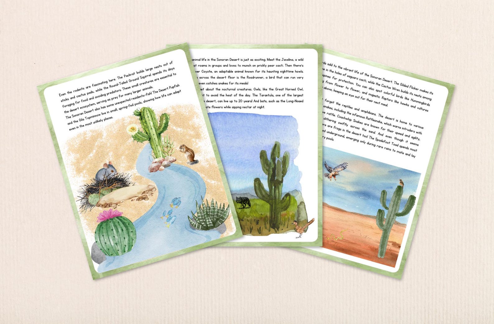 Sonoran Desert Worksheets Bundle: Science & Reading Activities ...