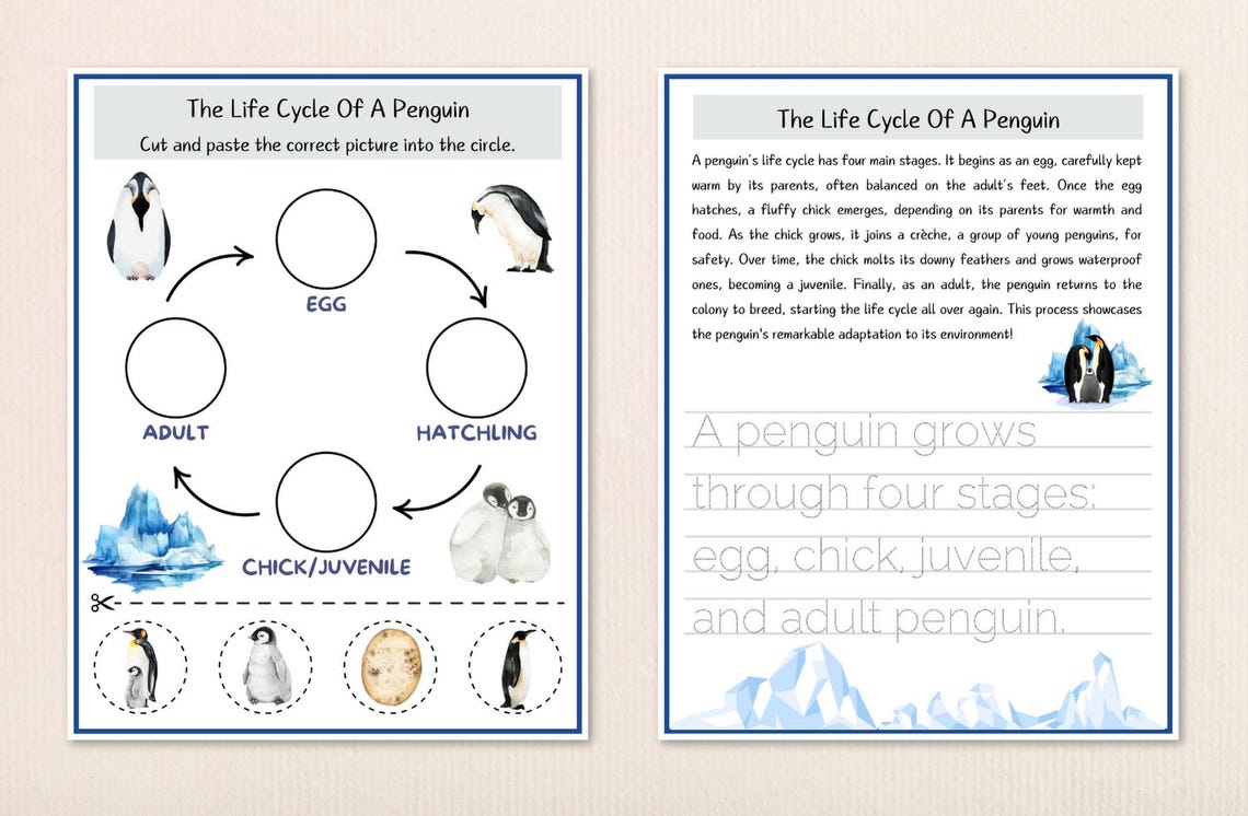 Penguin Life Cycle Worksheets – Cut and Paste Science Activities for ...