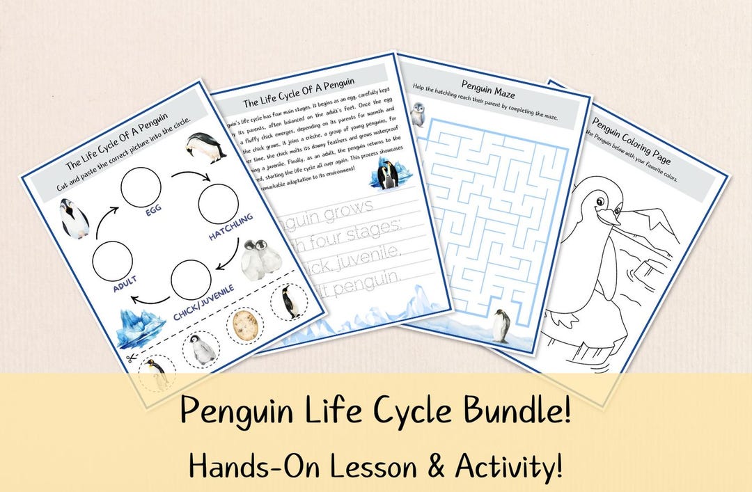 Hojas de trabajo sobre el ciclo de vida de los pingüinos: actividades ...