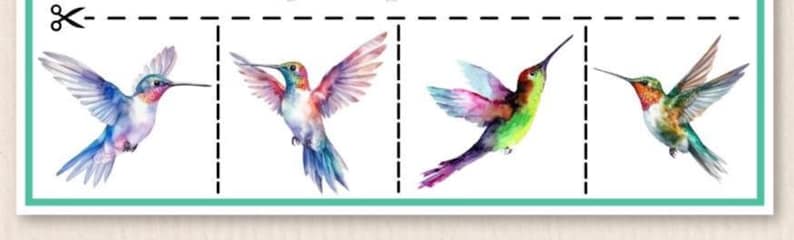 Hummingbird Cut and Paste Craft: Fine Motor Activity (printable) - Etsy