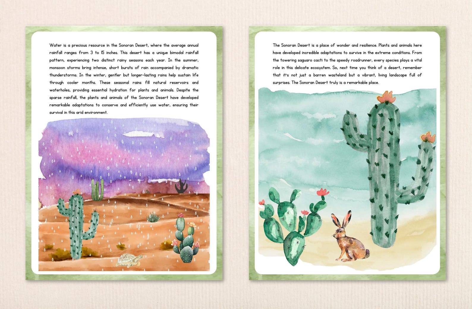 Sonoran Desert Worksheets Bundle: Science & Reading Activities ...