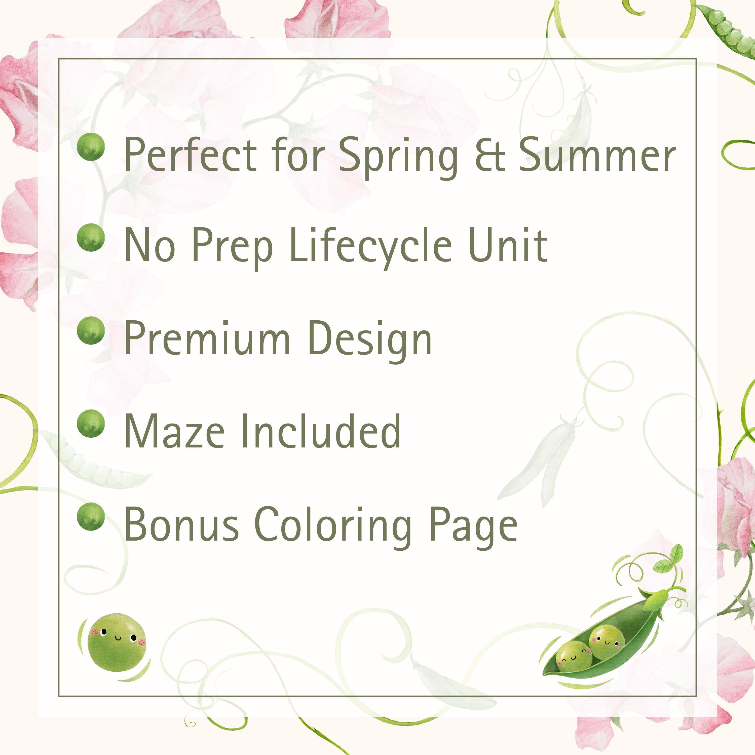 Ladybug Life Cycle Worksheets – Cut and Paste Science Activity, Insect ...