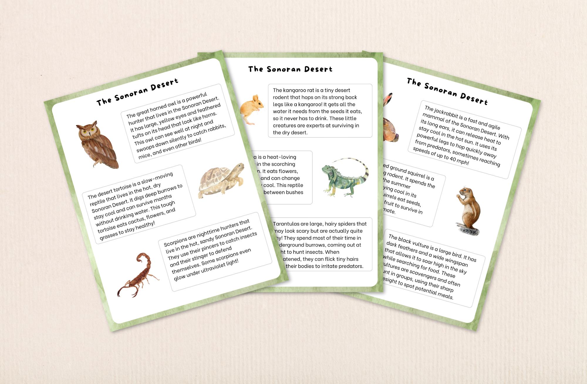 Sonoran Desert Worksheets Bundle: Science & Reading Activities ...