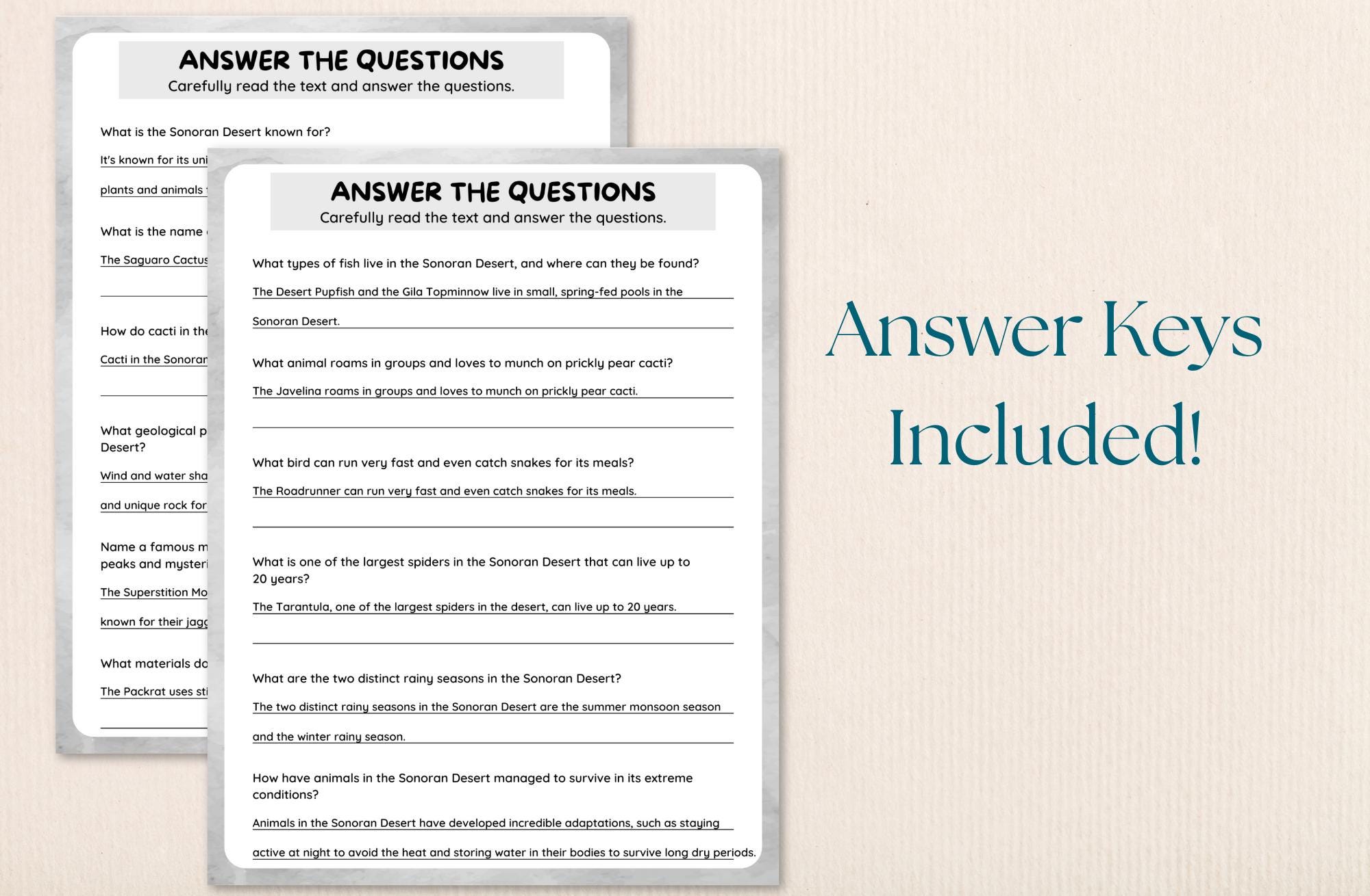 Sonoran Desert Worksheets Bundle: Science & Reading Activities ...