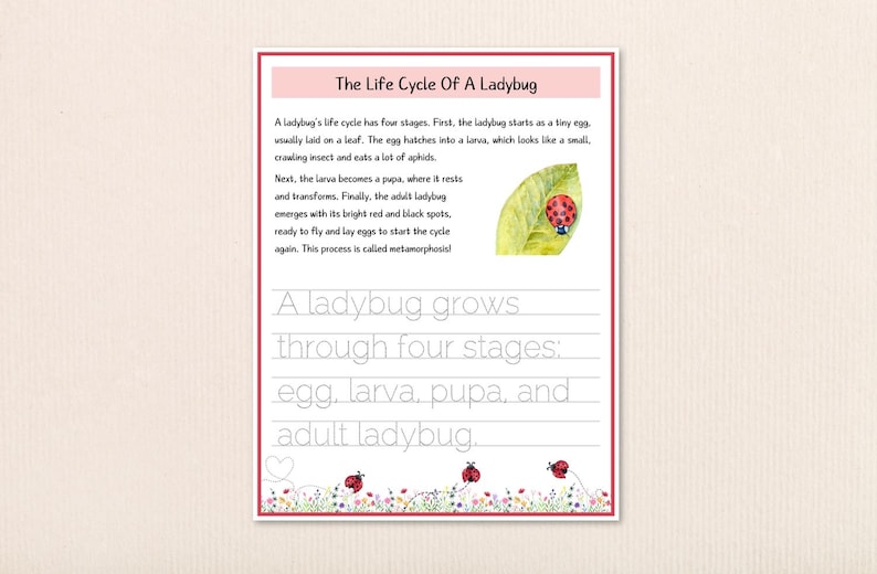 Ladybug Life Cycle Worksheet: Cut & Paste Science Activity (printable ...