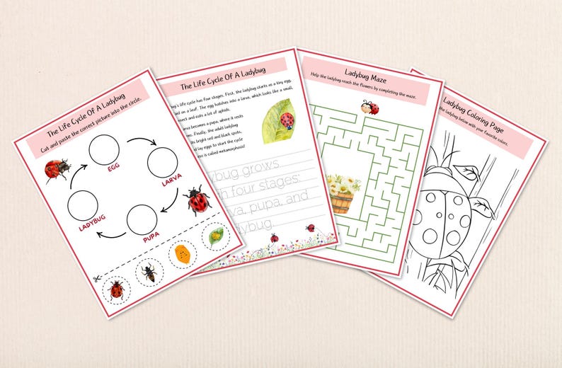 Ladybug Life Cycle Worksheets – Cut and Paste Science Activity, Insect ...