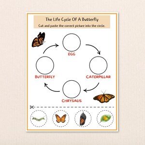 Butterfly Life Cycle Worksheets – Caterpillar Cut and Paste Science ...