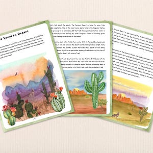 Sonoran Desert Worksheets Bundle: Science & Reading Activities ...