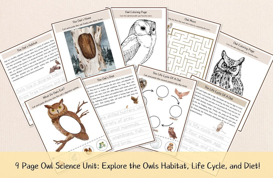Owl Science Worksheets Bundle: Life Cycle, Habitat & Diet Activities - Etsy