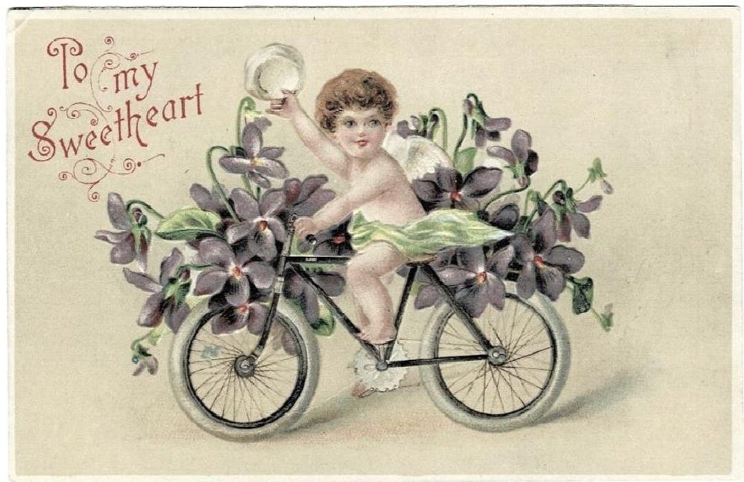 1908 Cupid Delivers Flowers on Bicycle Postcard Violets Symbolize ...
