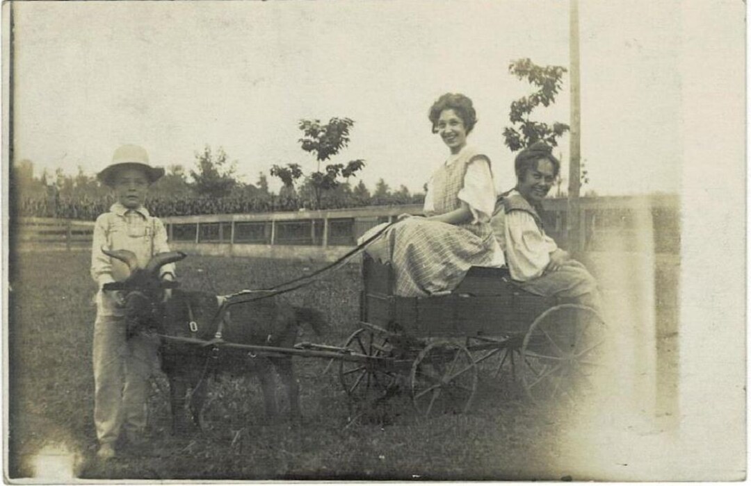 1907 Boy Gives Goat Cart Ride to Two Ladies Vintage Real Albumen Photo ...