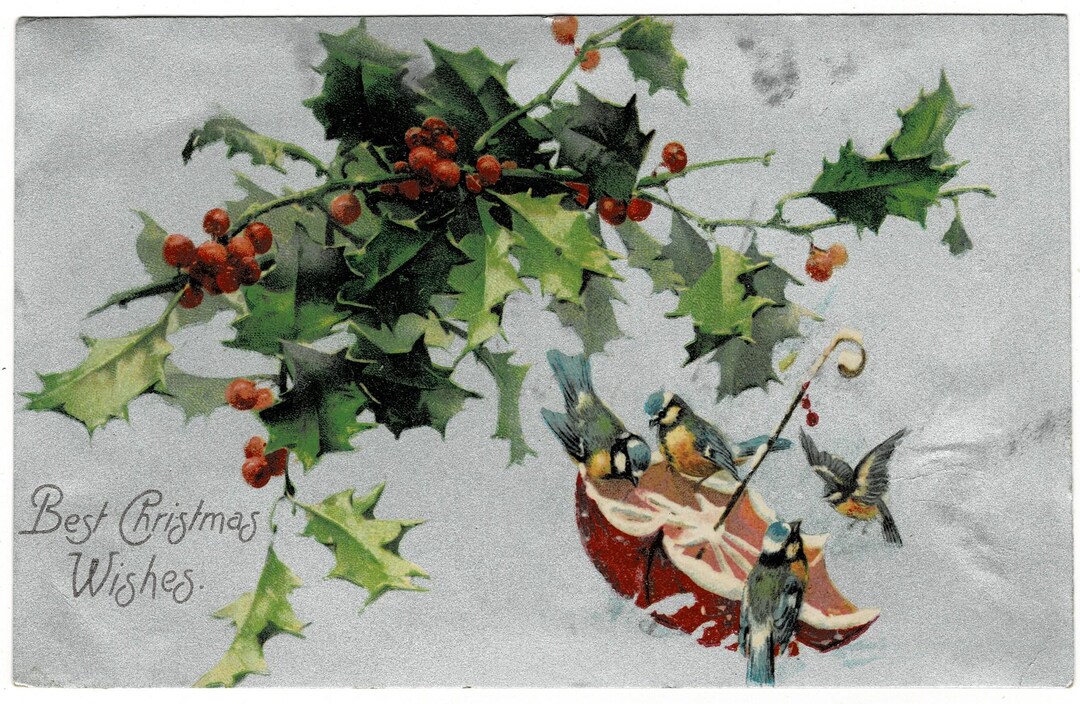 1905 Songbirds in Silvery Snow Christmas Postcard, UDB, Get Lucky ...