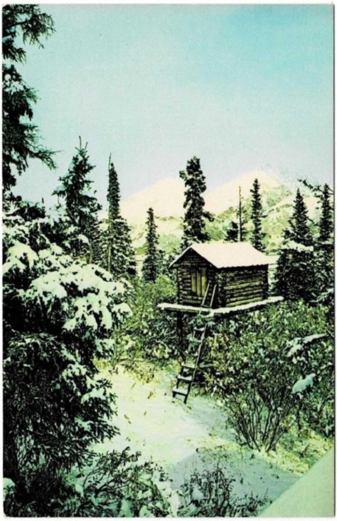 1967 Alaska Hunter's Fish Bear Cache Cabin Vintage Postcard Ephemera ...