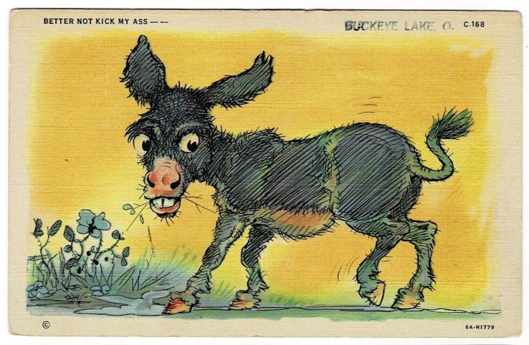 1936 Kick My Ass Goofy Donkey Buckeye Lake Ohio Vintage Comic - Etsy