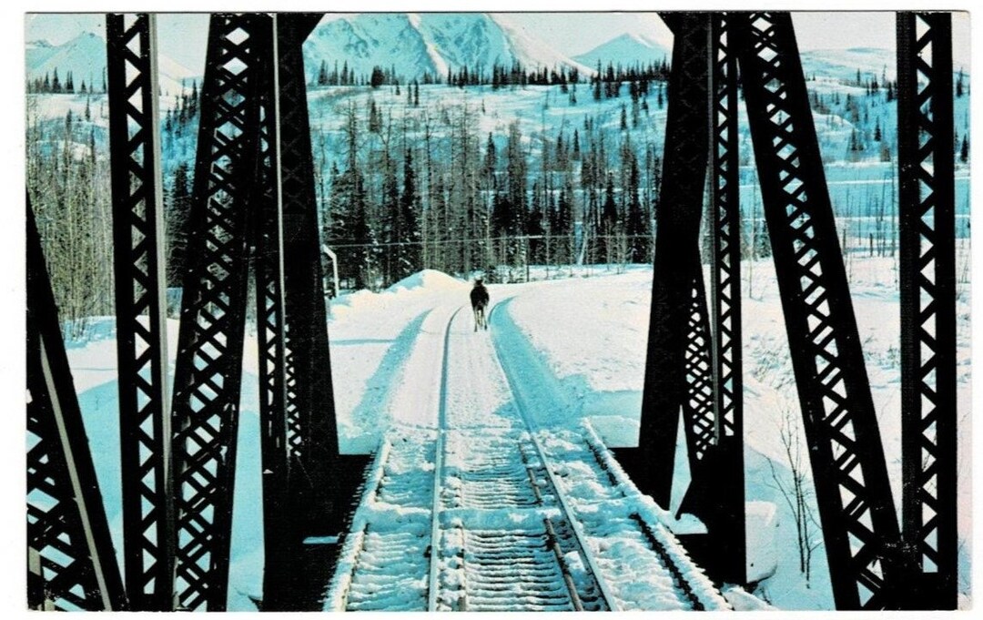 1967 Alaska Moose Train Railroad Moosegooser Vintage Postcard Get Lucky ...