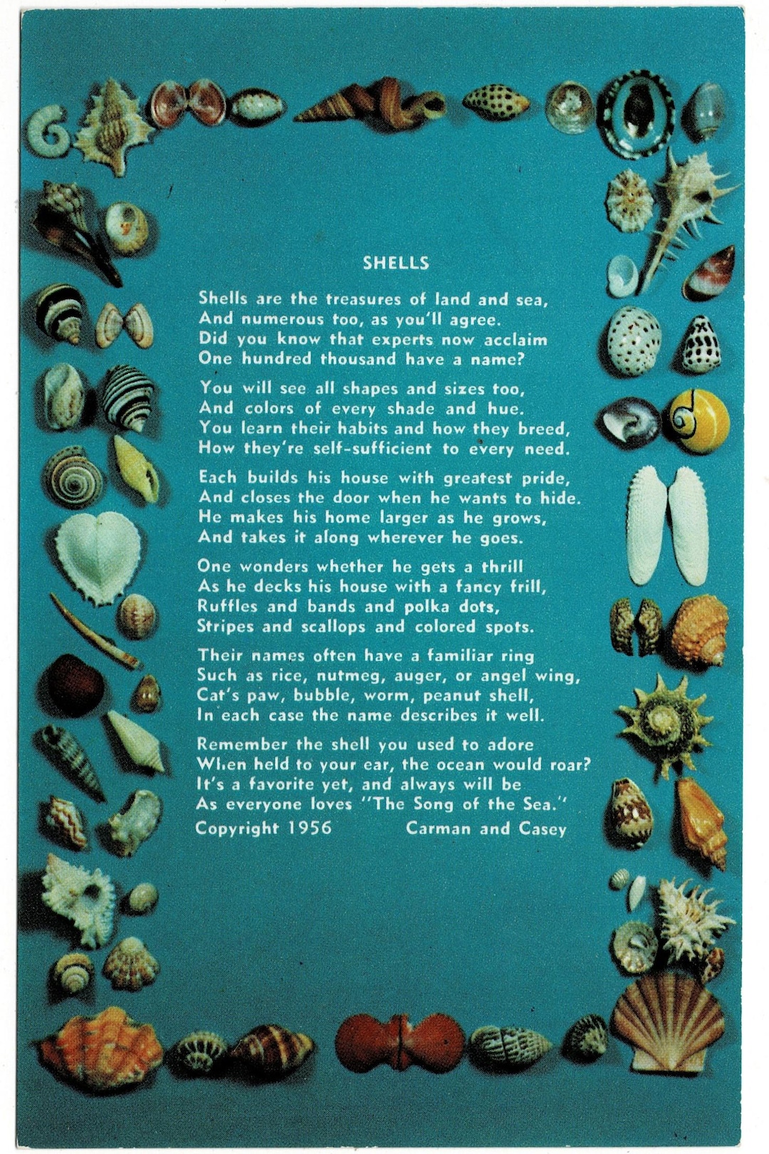 1956 Shell Collecting Poem Postcard, Treasures of Land and Seas, Get ...