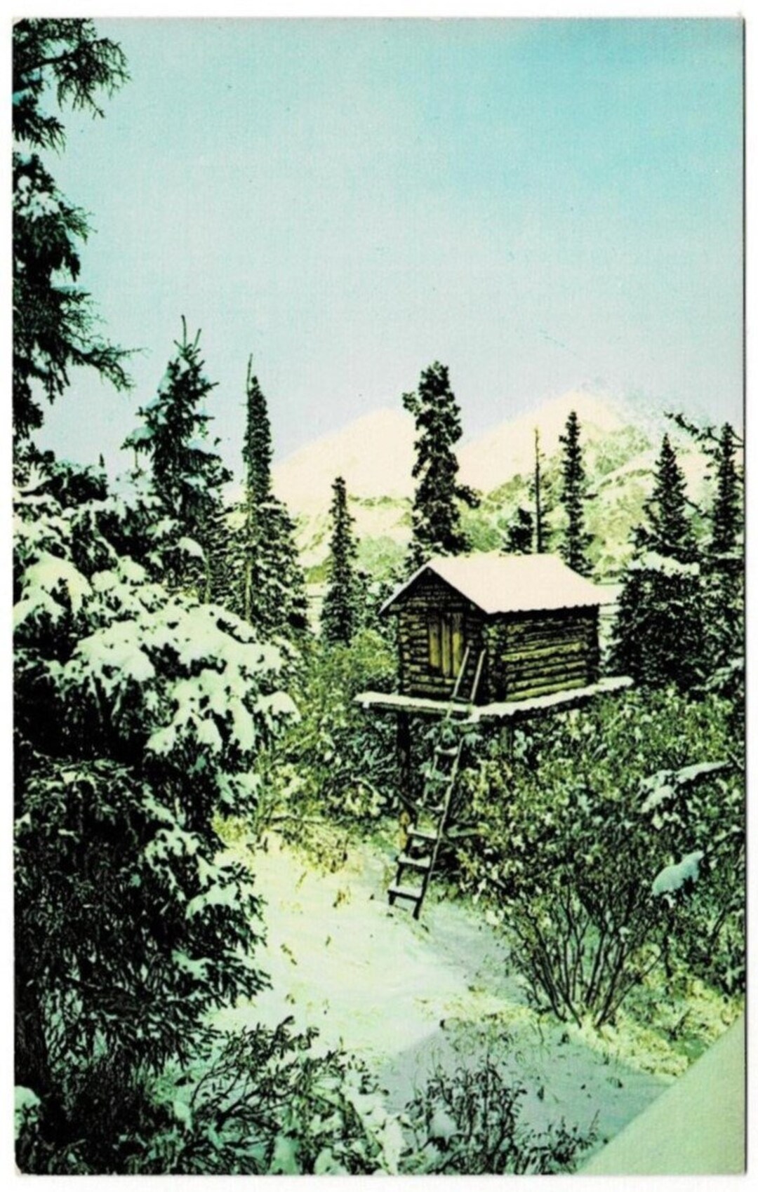 1967 Alaska Hunter Fish Bear Cache Cabin Vintage Postcard ...