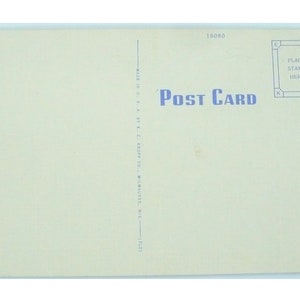 1950s Fishing Goodfellows Liars Club Comic Vintage Postcard by - Etsy