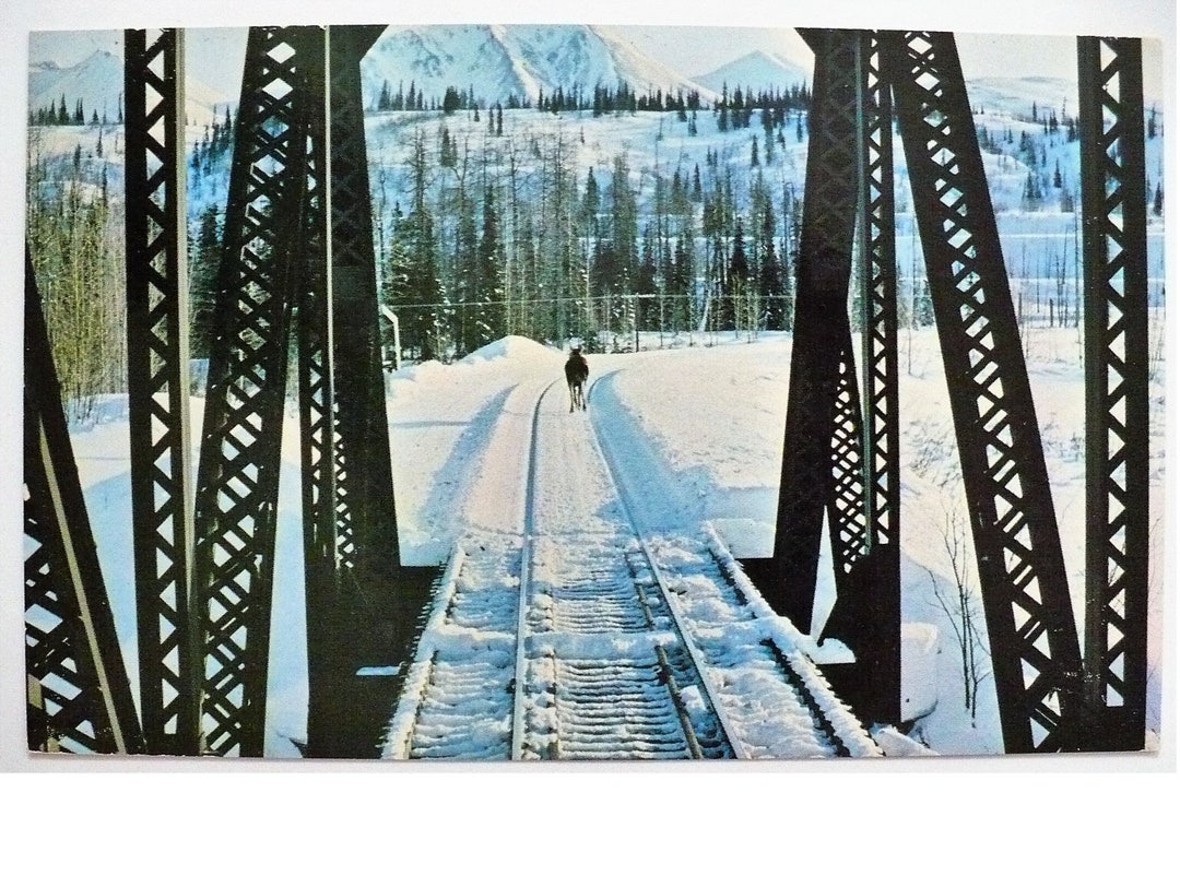 1967 Alaska Moose Train Railroad Moosegooser Vintage Postcard - Etsy