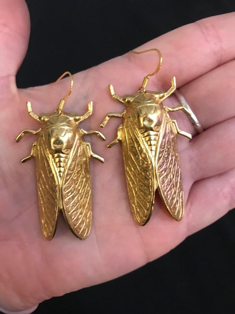 Large Insect Earrings Bees Beetles and Cicadas - Etsy