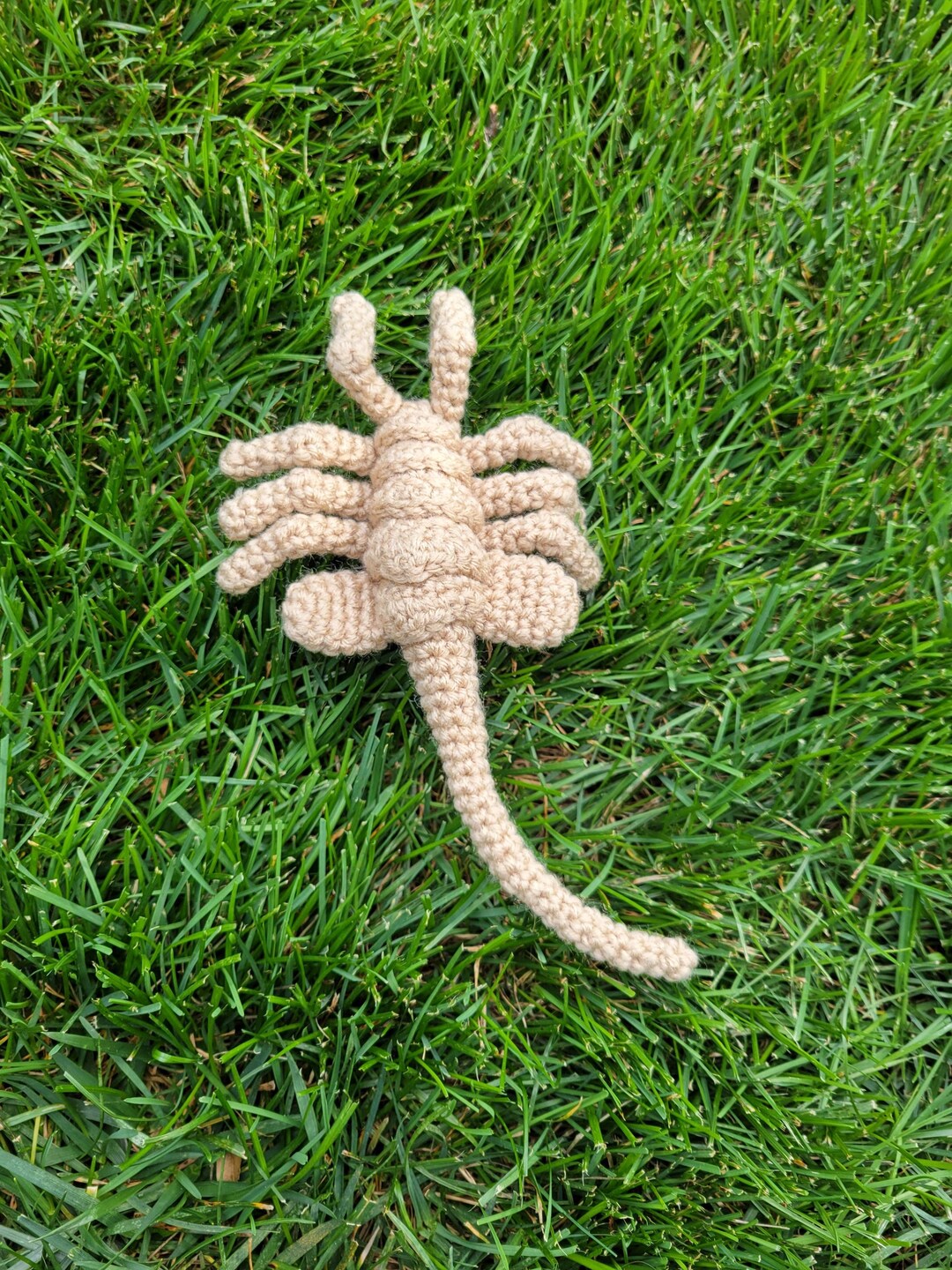 CLEARANCE Alien Facehugger Crochet Plush *pre-made* - Etsy