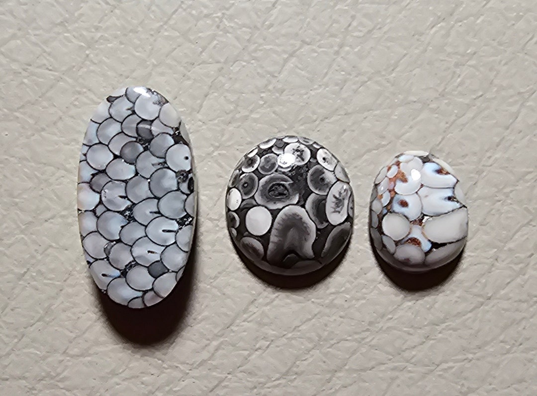 Natural Snakeskin Agate, Wrasse Fossil Stone, Rare Cabochon - Etsy