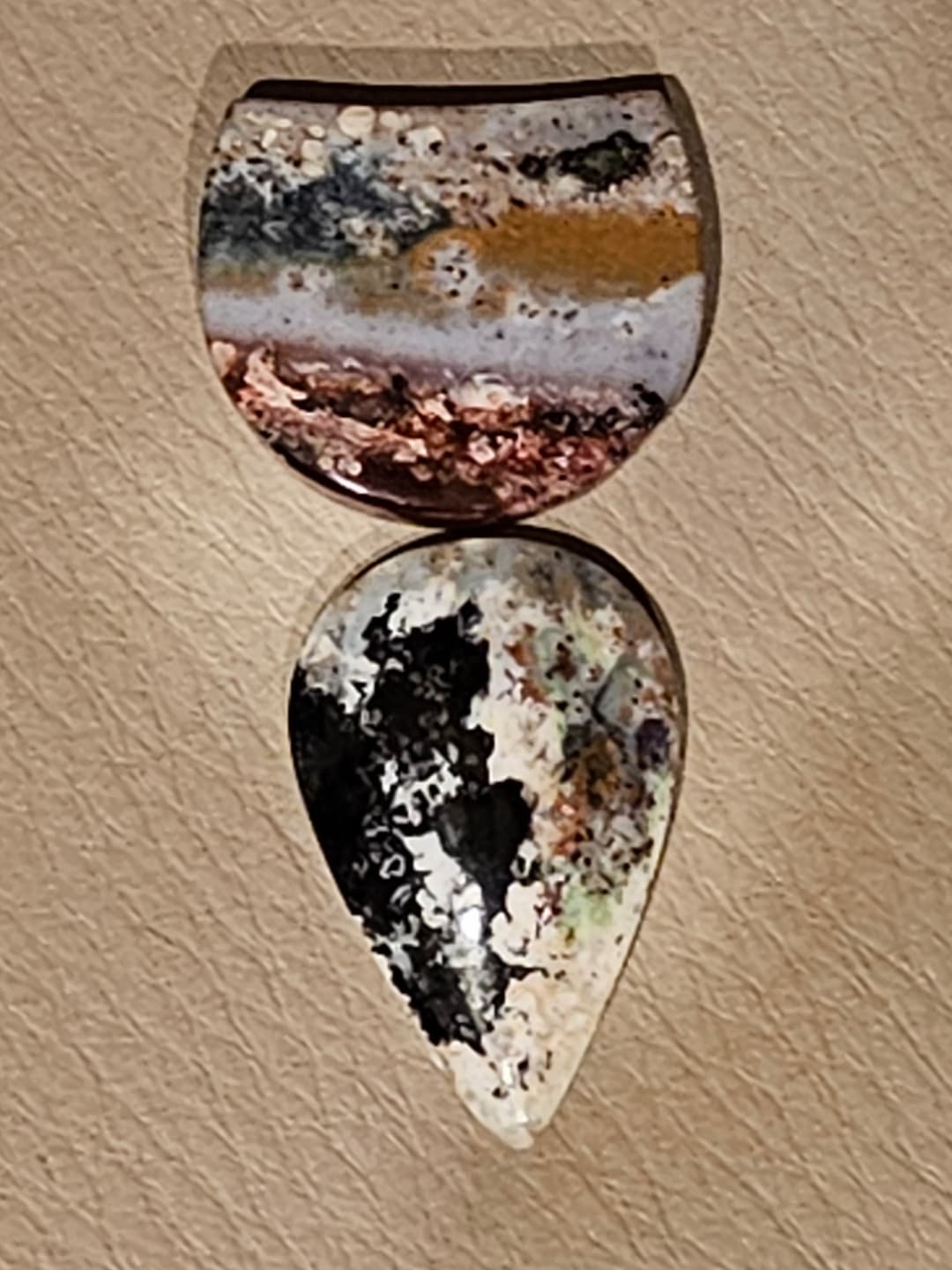 You Pick set of Natural Petrified Wood Cabochons Including a Teardrop ...