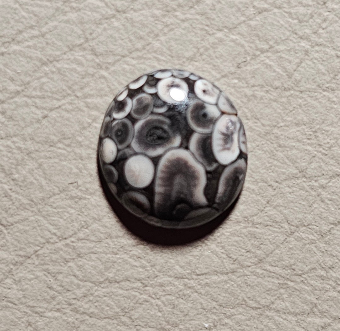 Natural Snakeskin Agate, Wrasse Fossil Stone, Rare Cabochon - Etsy