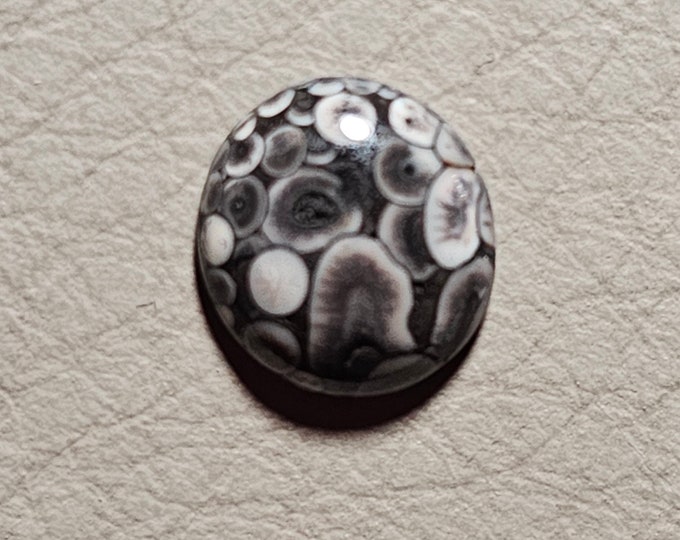 Natural Snakeskin Agate, Wrasse Fossil Stone, Rare Cabochon - Etsy