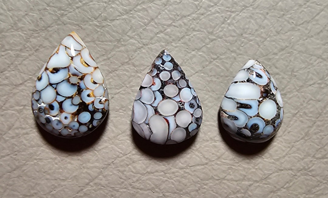 Natural Snakeskin Agate, Wrasse Fossil Stone, Rare Cabochon - Etsy