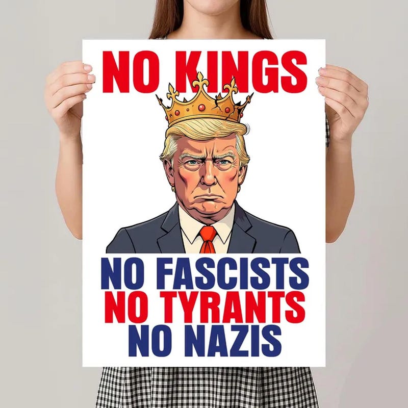 2025 Protest Signs - Etsy