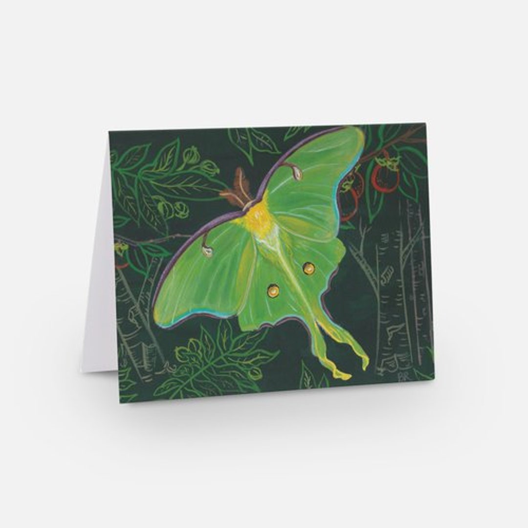 Luna Moth Ecosystem Greeting Card - Etsy