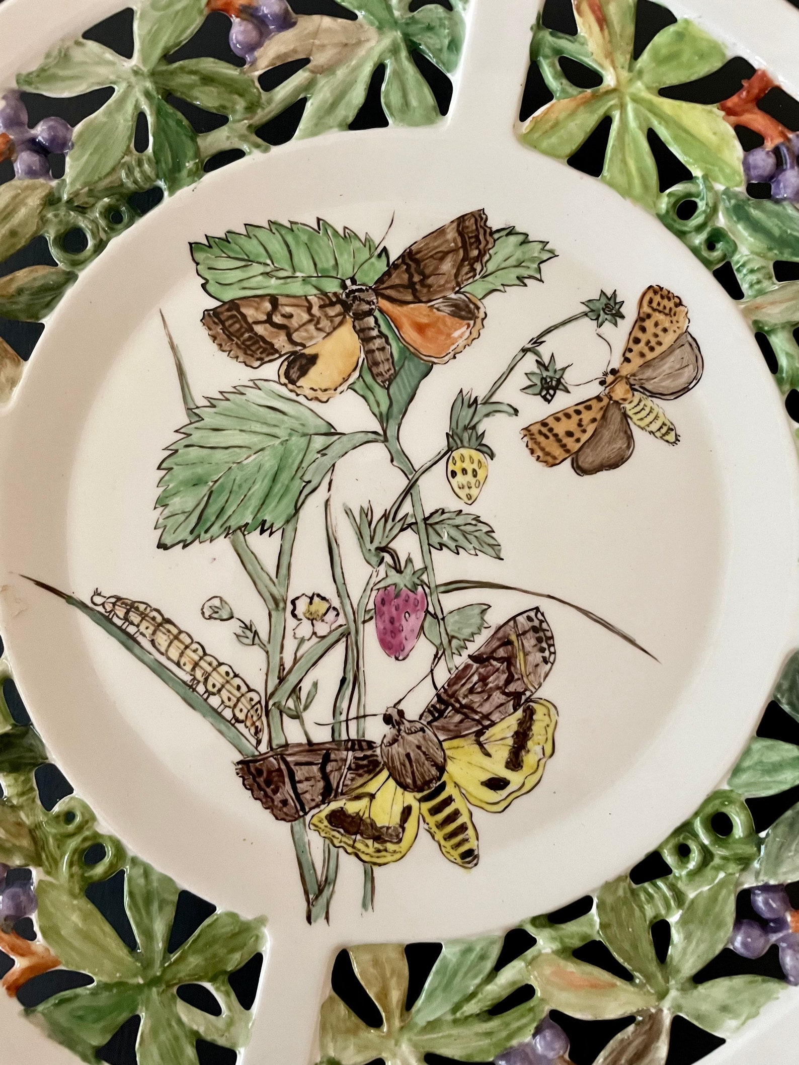 Gorgeous Bees and Butterfly Plates Max Roesler Rodach Hand - Etsy