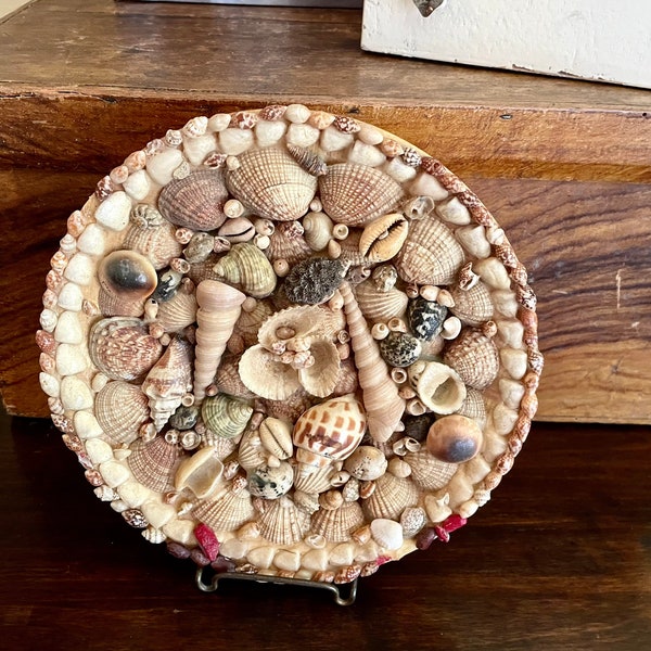 Sea Shell Art - Etsy