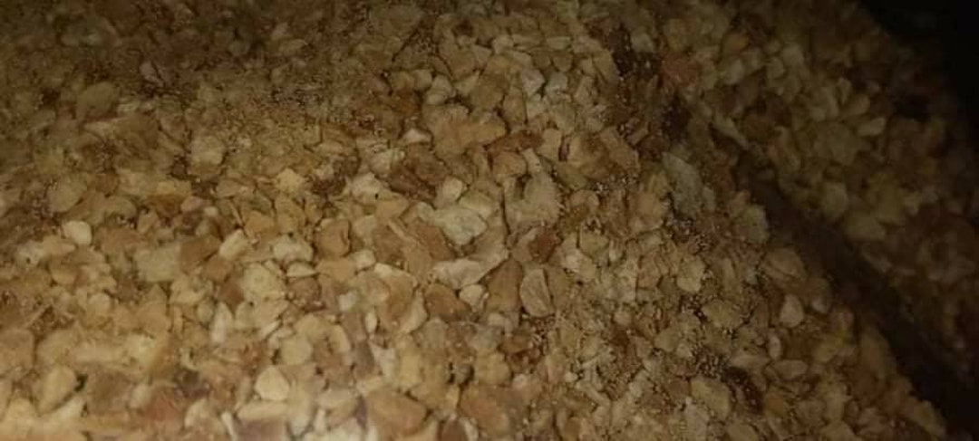 1 Oz Orris Root:queen Elizabeth Root Wicca Witch Pagan - Etsy