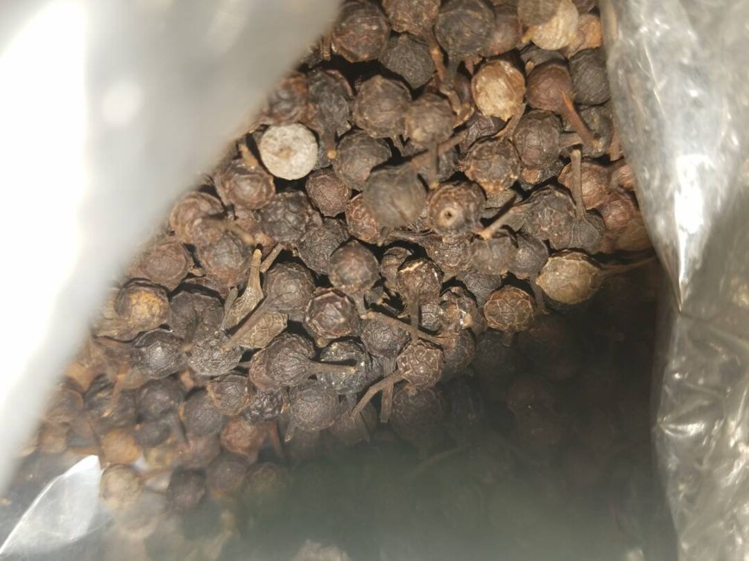 1 Oz Pack of Cubeb Berries : Pepper - Etsy