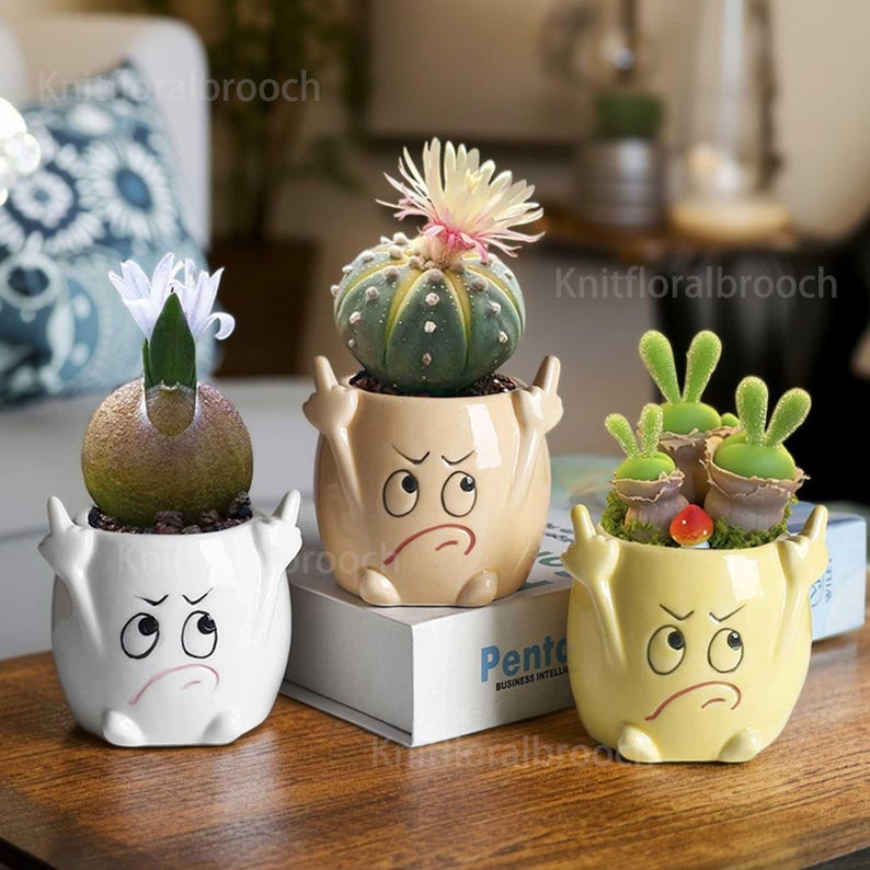 Middle Finger Planter, Angry Expression Succulent Potted Plant, Fuck ...