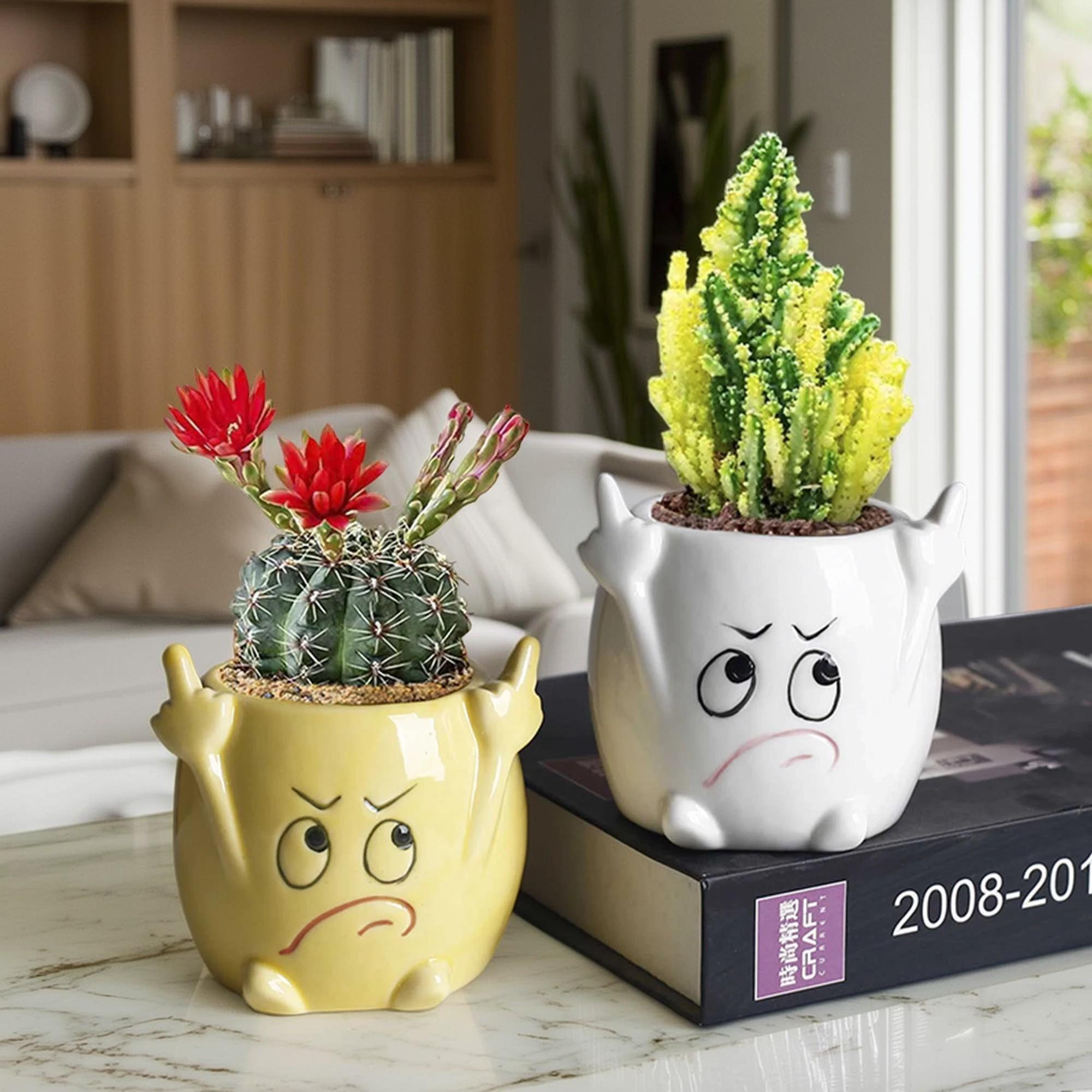 Middle Finger Planter, Angry Expression Succulent Potted Plant, Fuck ...