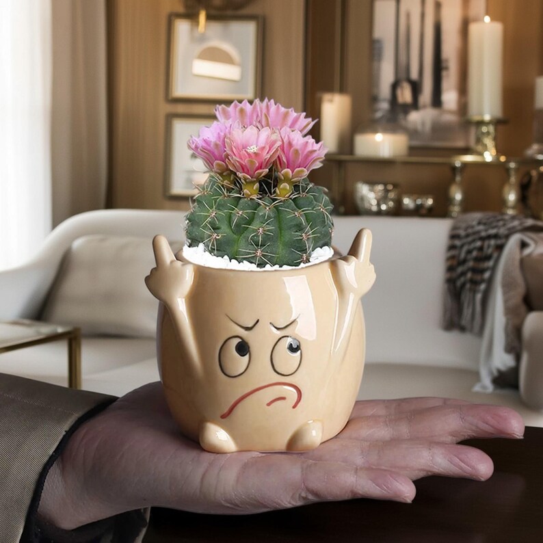 Middle Finger Planter, Angry Expression Succulent Potted Plant, Fuck ...